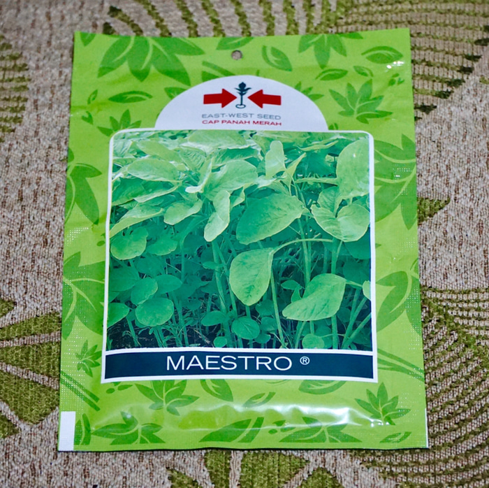 Benih Bayam Hijau MAESTRO 50gr | Simon Peter Hidroponik